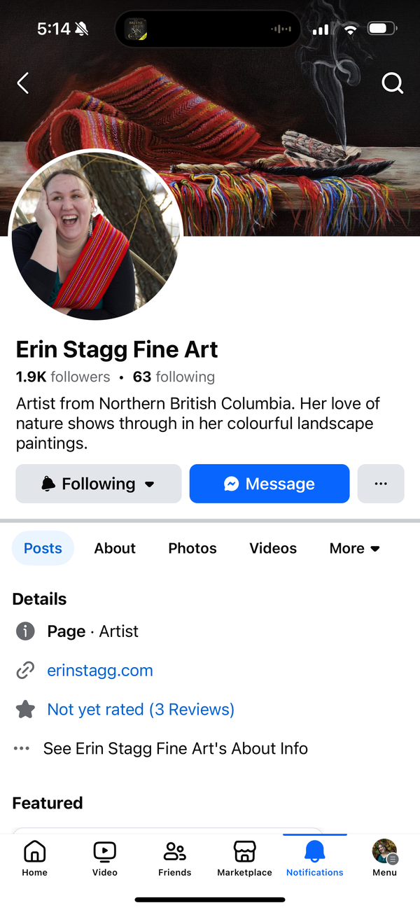 Facebook Page - Erin Stagg Fine Art