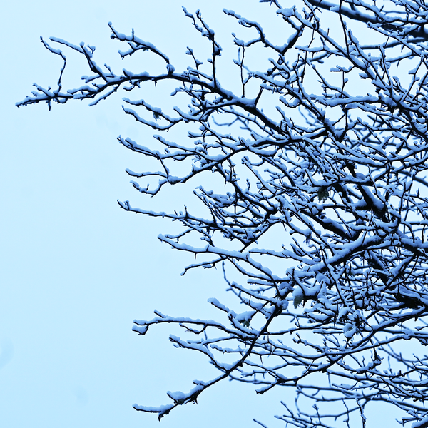 Why I'm Embracing Rest - Erin Stagg Fine Art