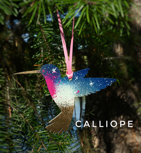 Hummingbird - Ornaments 2025 - Erin Stagg Fine Art